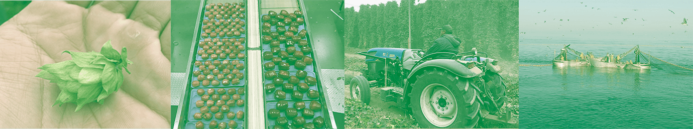 CSI Visa Processing (EN)